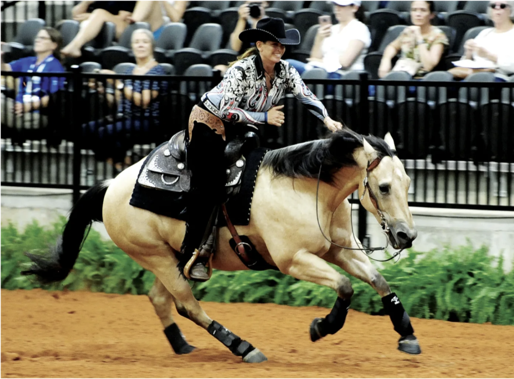 Tips for your Senior Performance Horse - Horse & Rider Magazine April ...